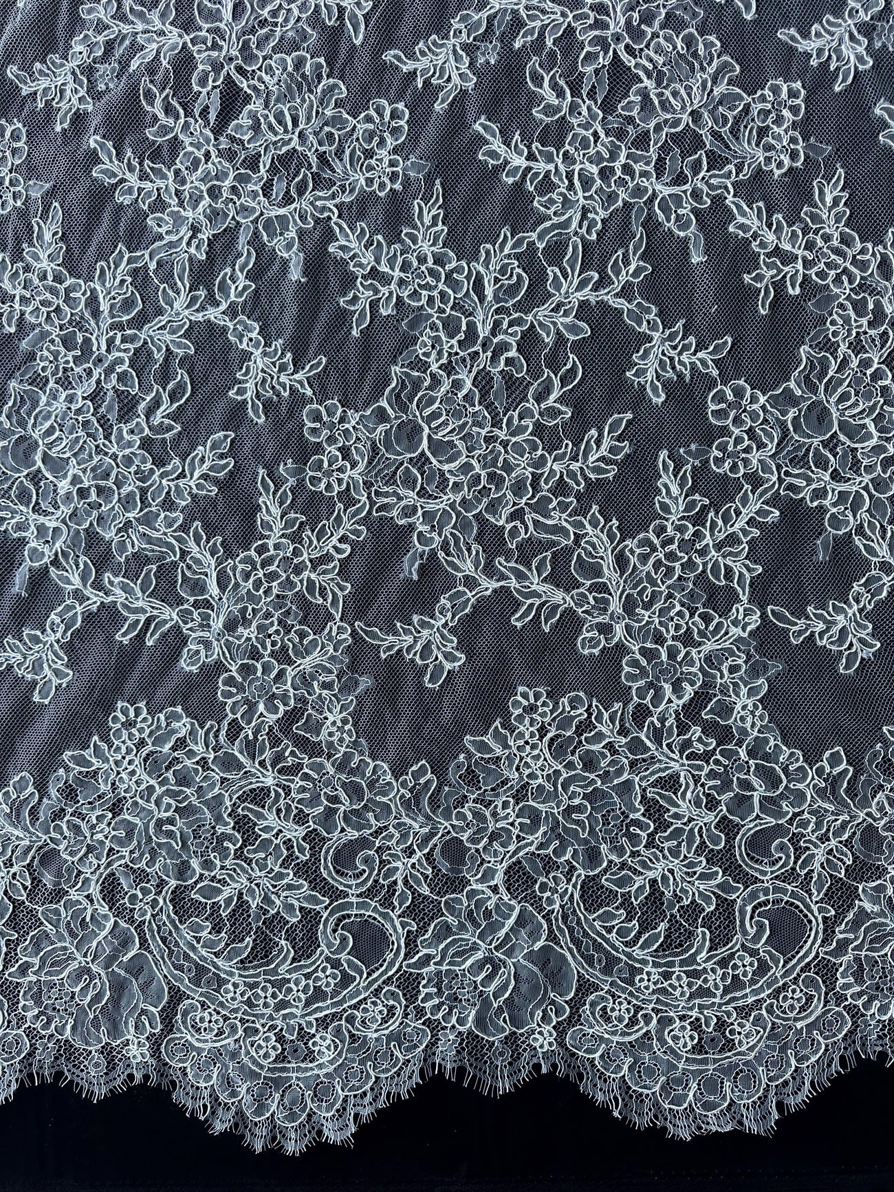 Ivory Corded Lace - Asher