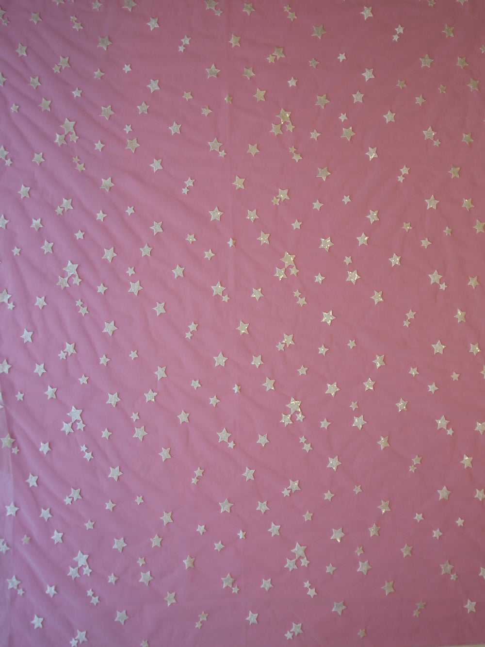 Ivory Embroidered Bridal Lace Vedette